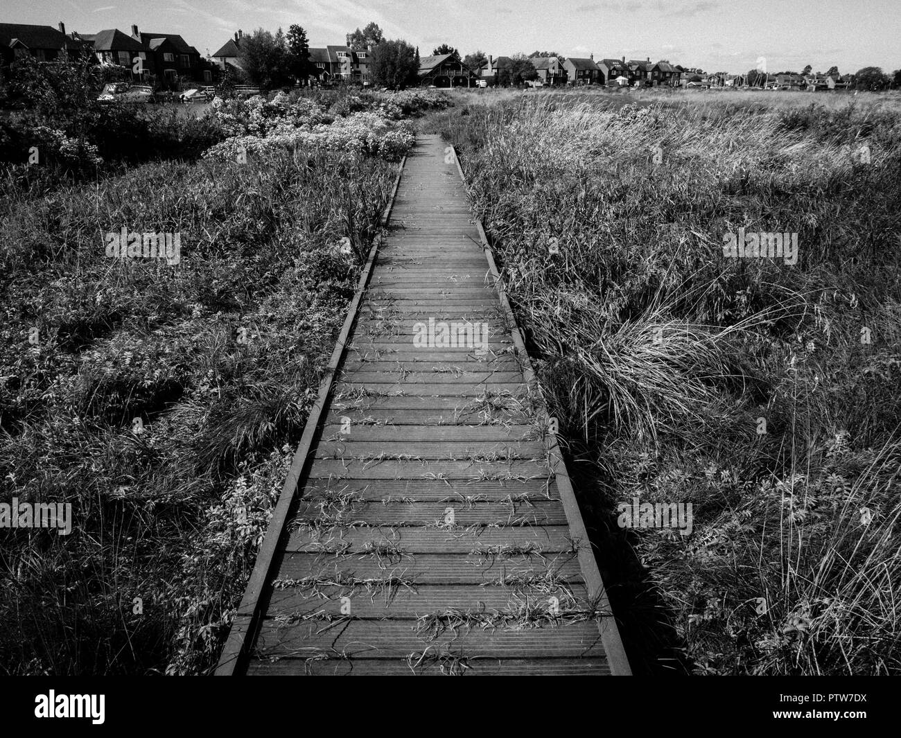 Thames Path Art High Resolution Stock Photography and Images - Alamy