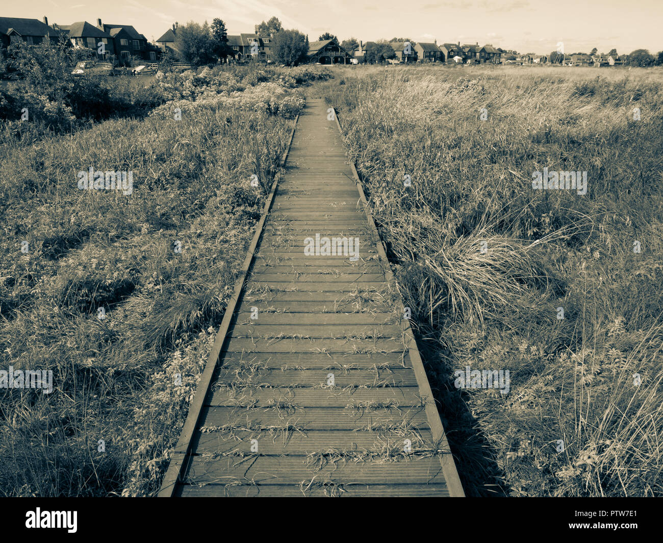 Thames path art hi-res stock photography and images - Alamy