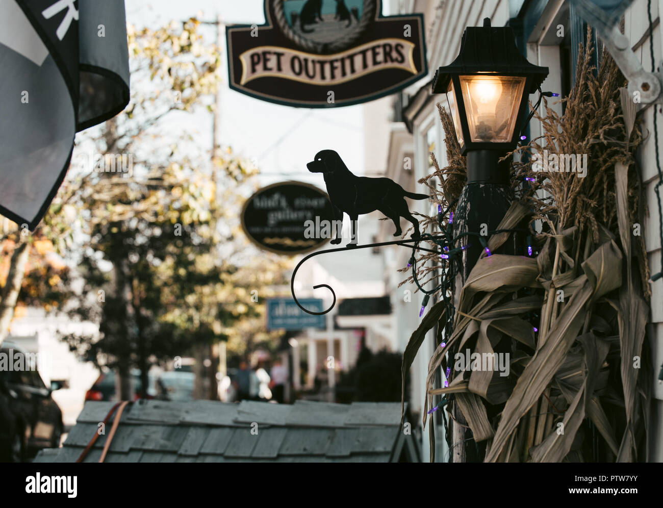 dog sign in street Stock Photo - Alamy