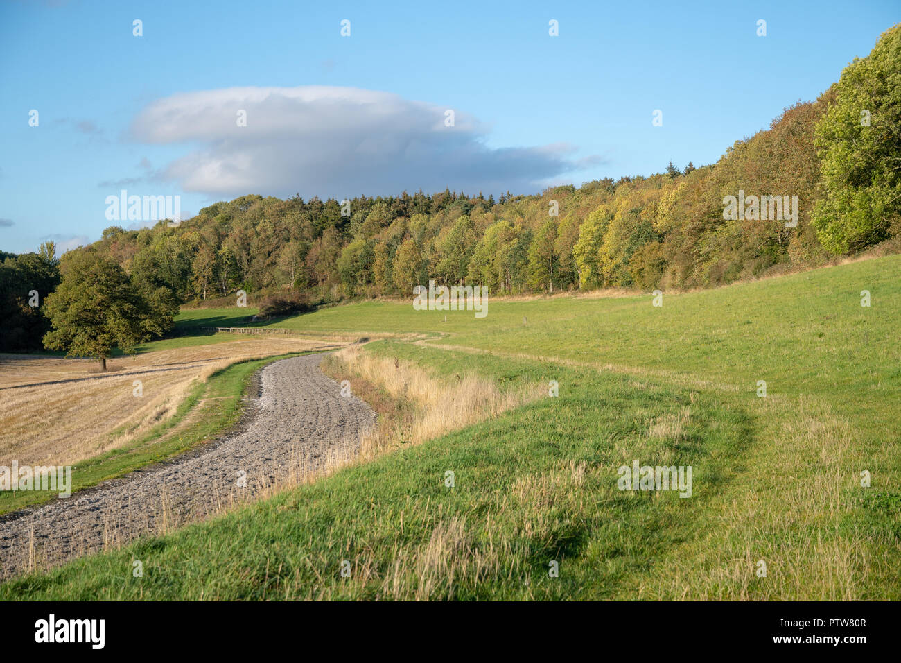 Countryside trees hi-res stock photography and images - Alamy