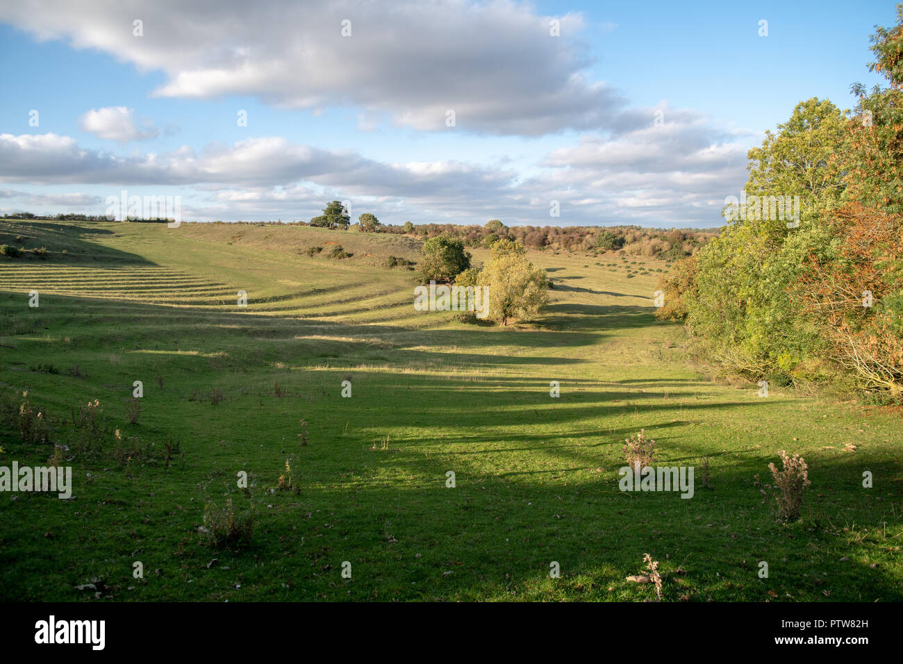 Views of English countryside in autumn with fields and trees Stock ...