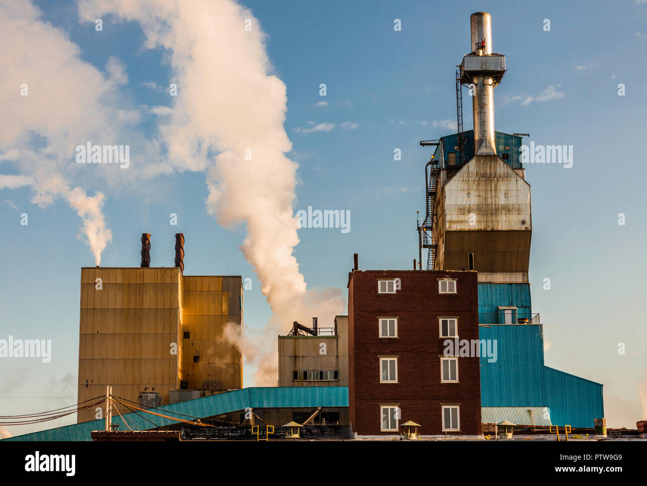 Tissue paper mill hi-res stock photography and images - Alamy