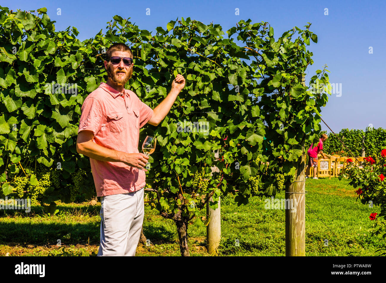 Jonathan Edwards Winery North Stonington, Connecticut, USA Stock Photo ...