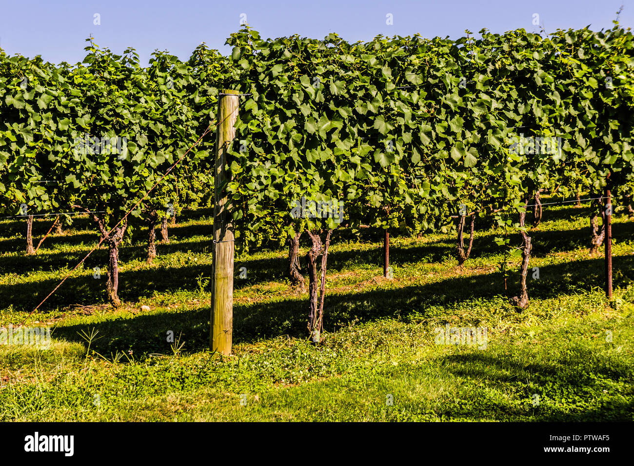 Jonathan Edwards Winery North Stonington, Connecticut, USA Stock Photo ...