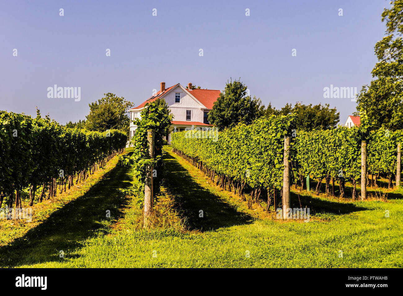 Jonathan Edwards Winery North Stonington, Connecticut, USA Stock Photo ...