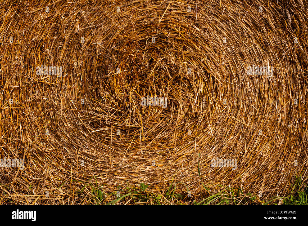 Rolled hay bale close hi-res stock photography and images - Alamy
