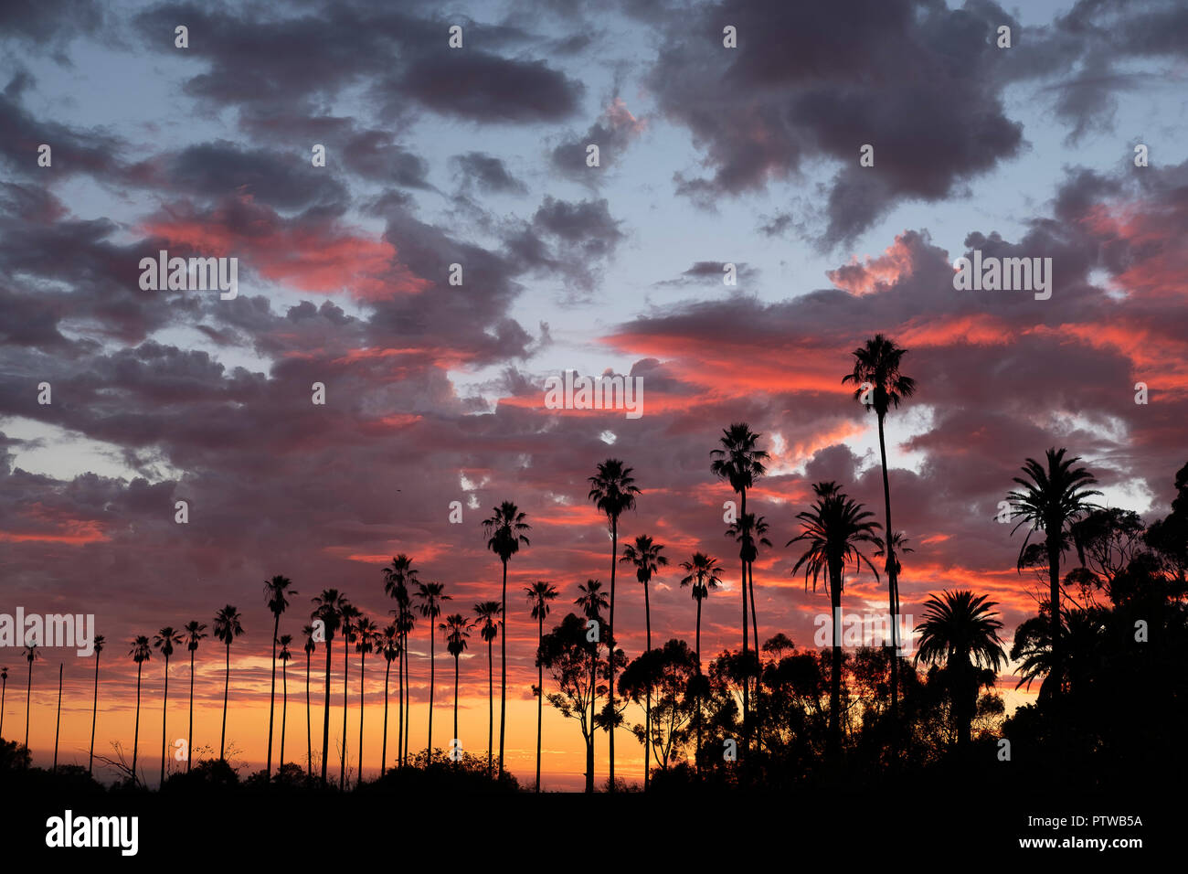 Elysian park los angeles hi-res stock photography and images - Alamy