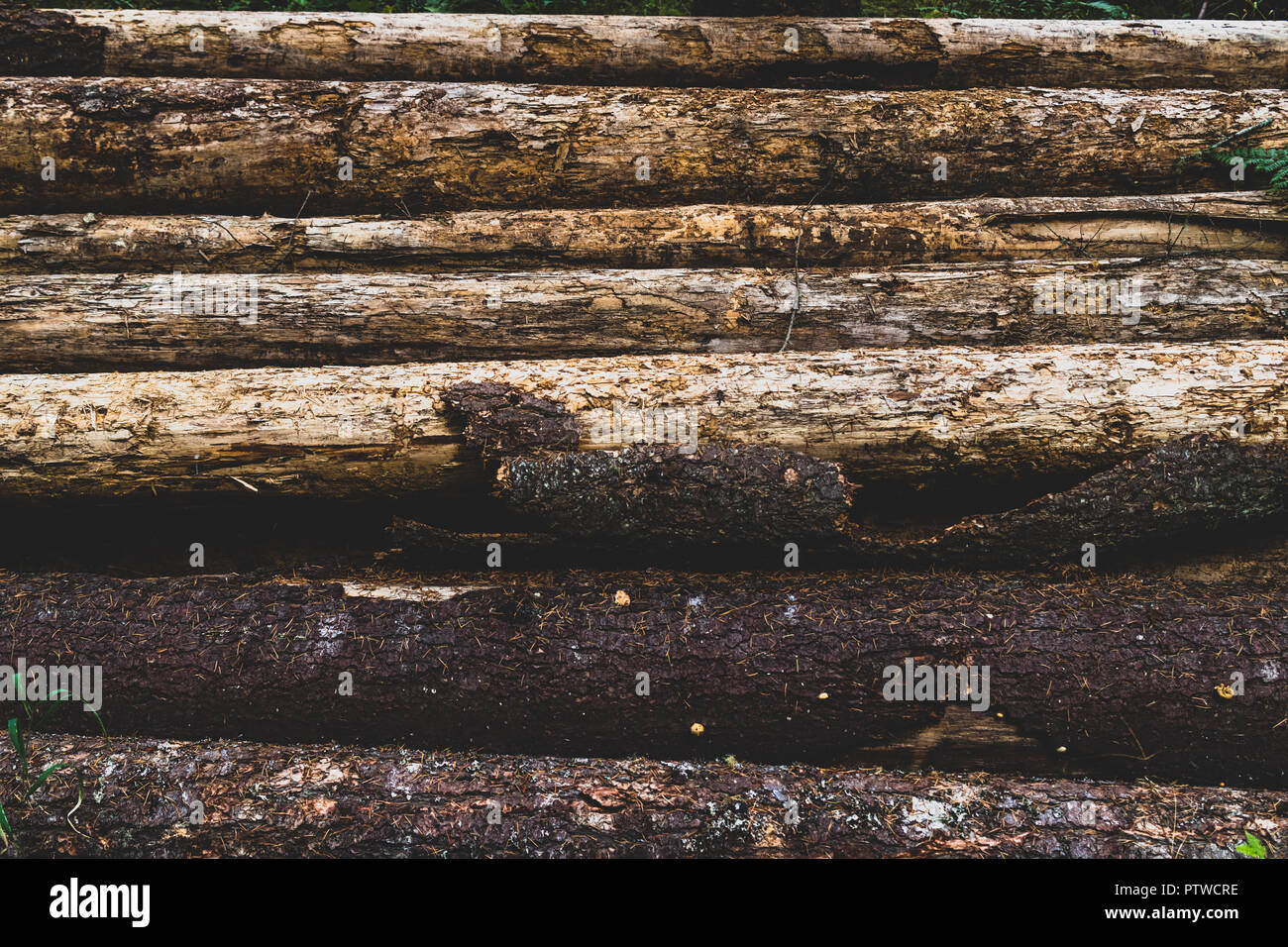 Pile of aged weathered worn old logs stacked irregularly Stock Photo ...