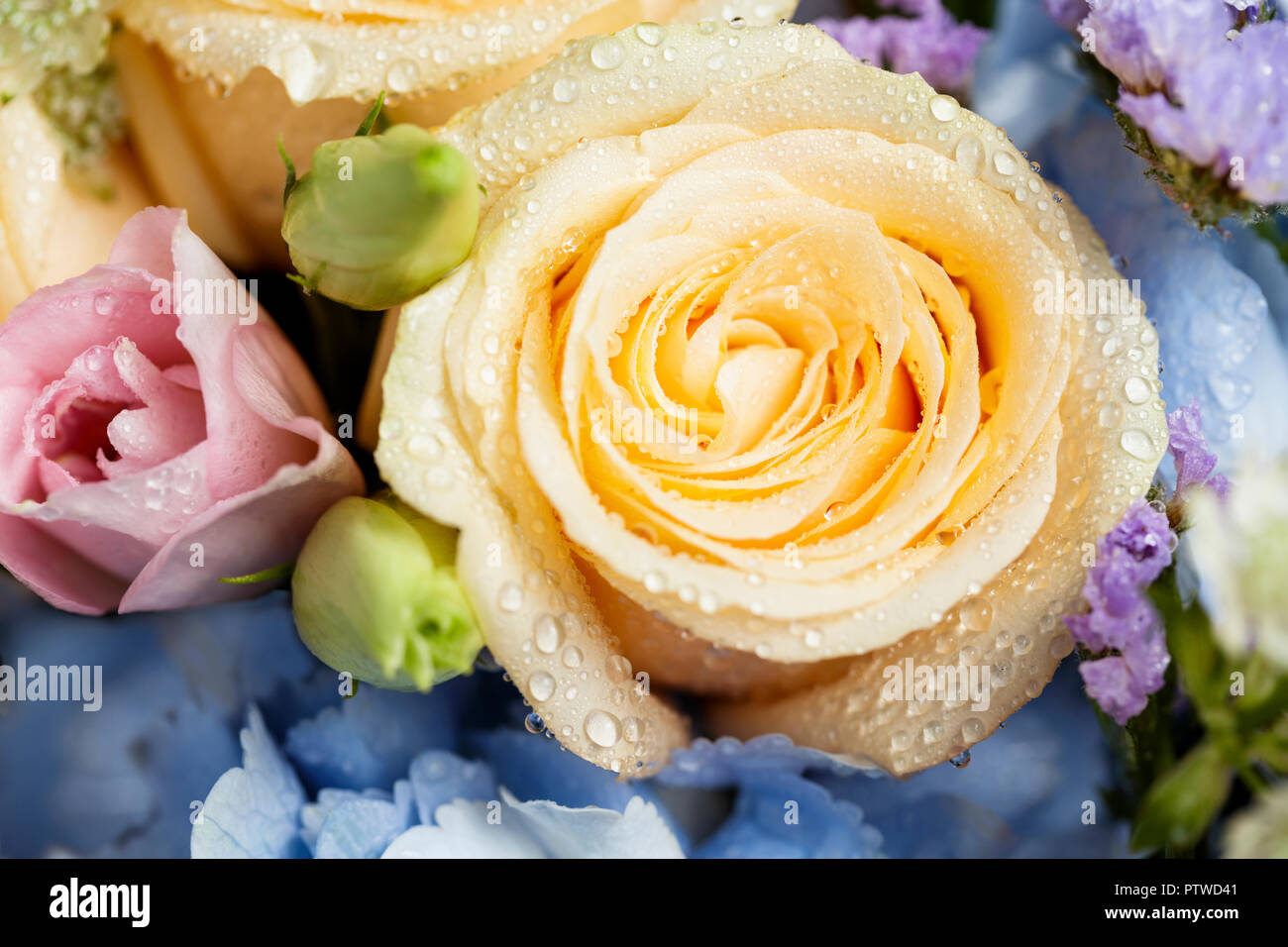 Close up of beautiful soft colour flower bouquet with blue Hydrangea ...