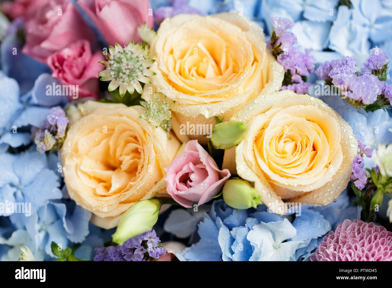 Close up of beautiful soft colour flower bouquet with blue Hydrangea ...