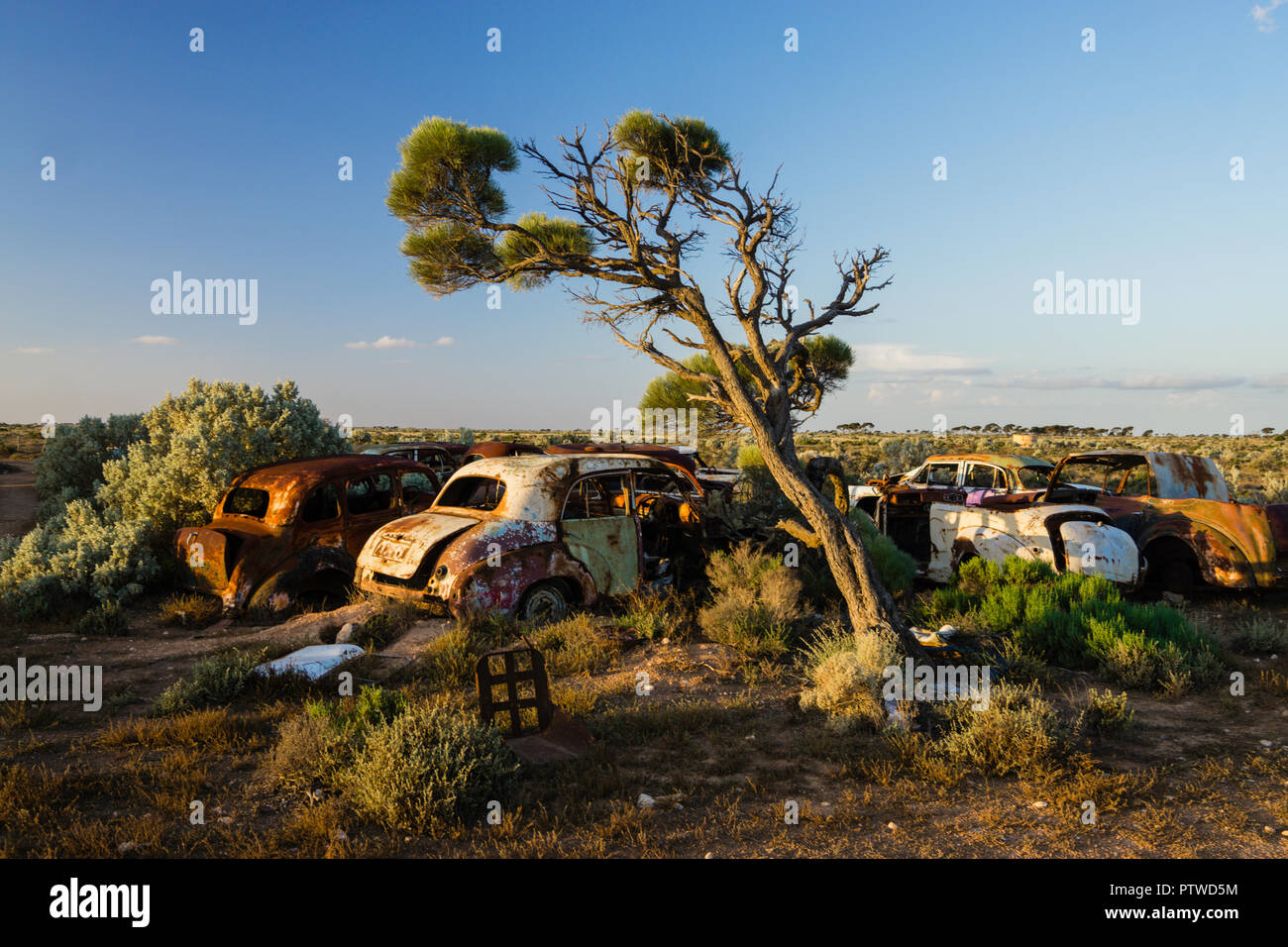 Car graveyard of wrecked and rusted car at Koonalda Homestead Old Eyre ...