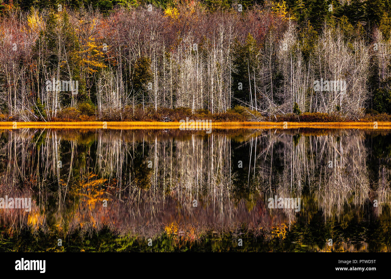 Upper Hadlock Pond Acadia National Park Mount Desert Island, Maine, USA ...