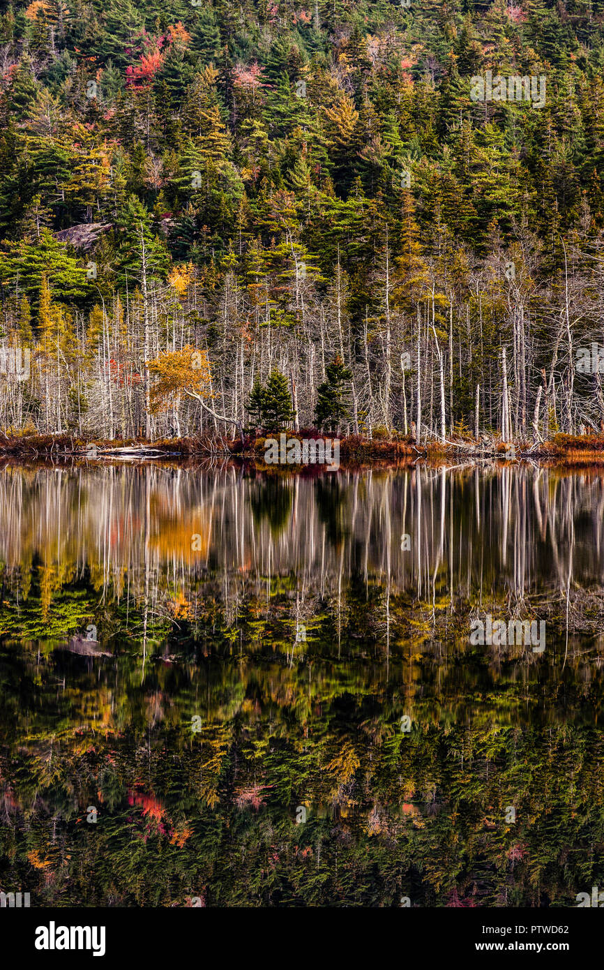 Upper Hadlock Pond Acadia National Park Mount Desert Island, Maine, USA ...