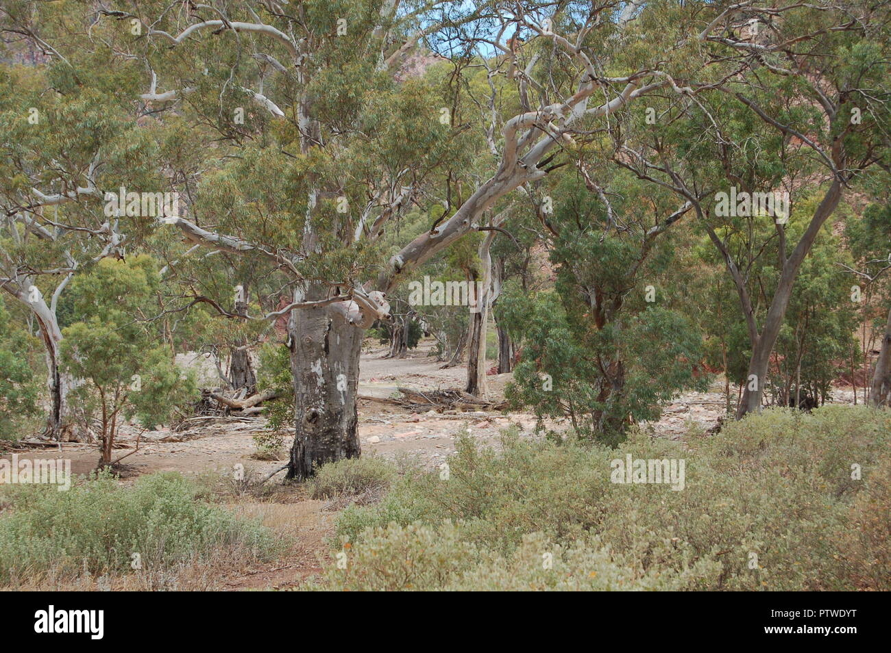 Flinders Ranges South Australia Stock Photo - Alamy