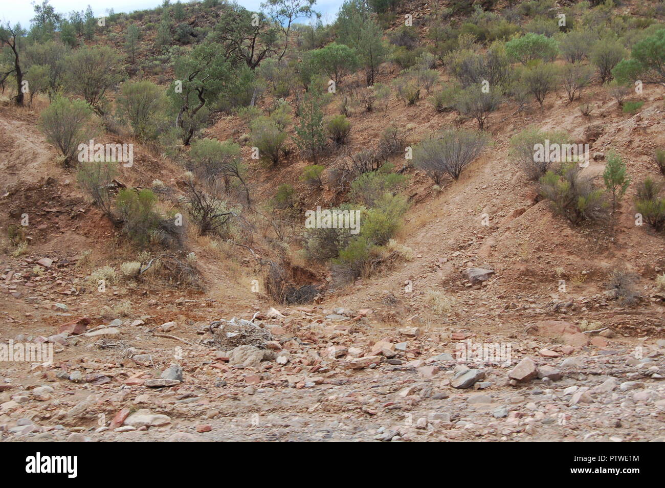 Flinders ranges australia creek hi-res stock photography and images - Alamy