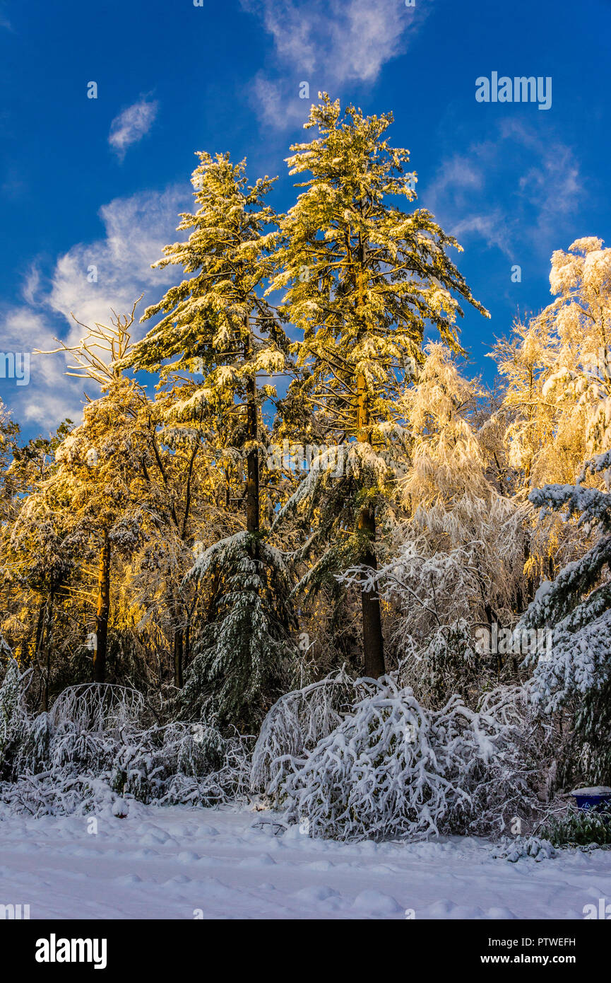 30 october 2011 hi-res stock photography and images - Alamy