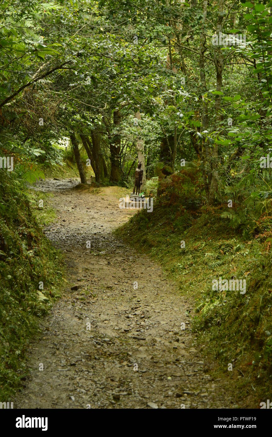 Arrival To The Figure Of Busgosu Master And Lord Of The Forest On The ...