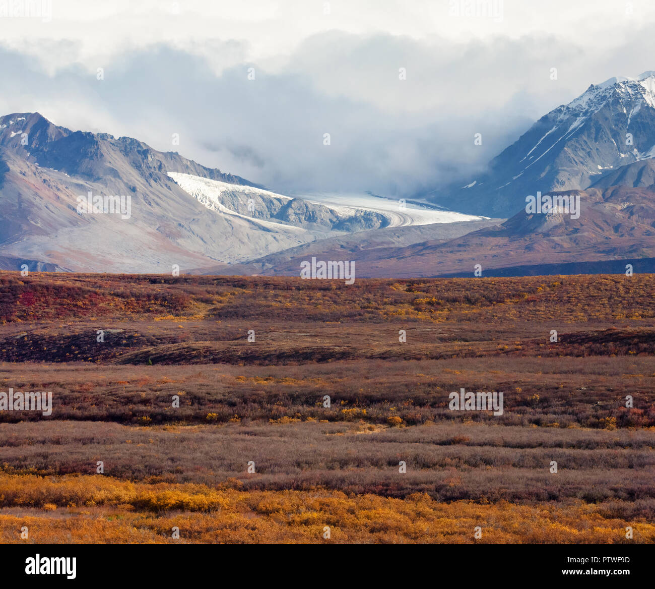 Glacier siding out of clouds towards fall color Alaska grassland Stock ...