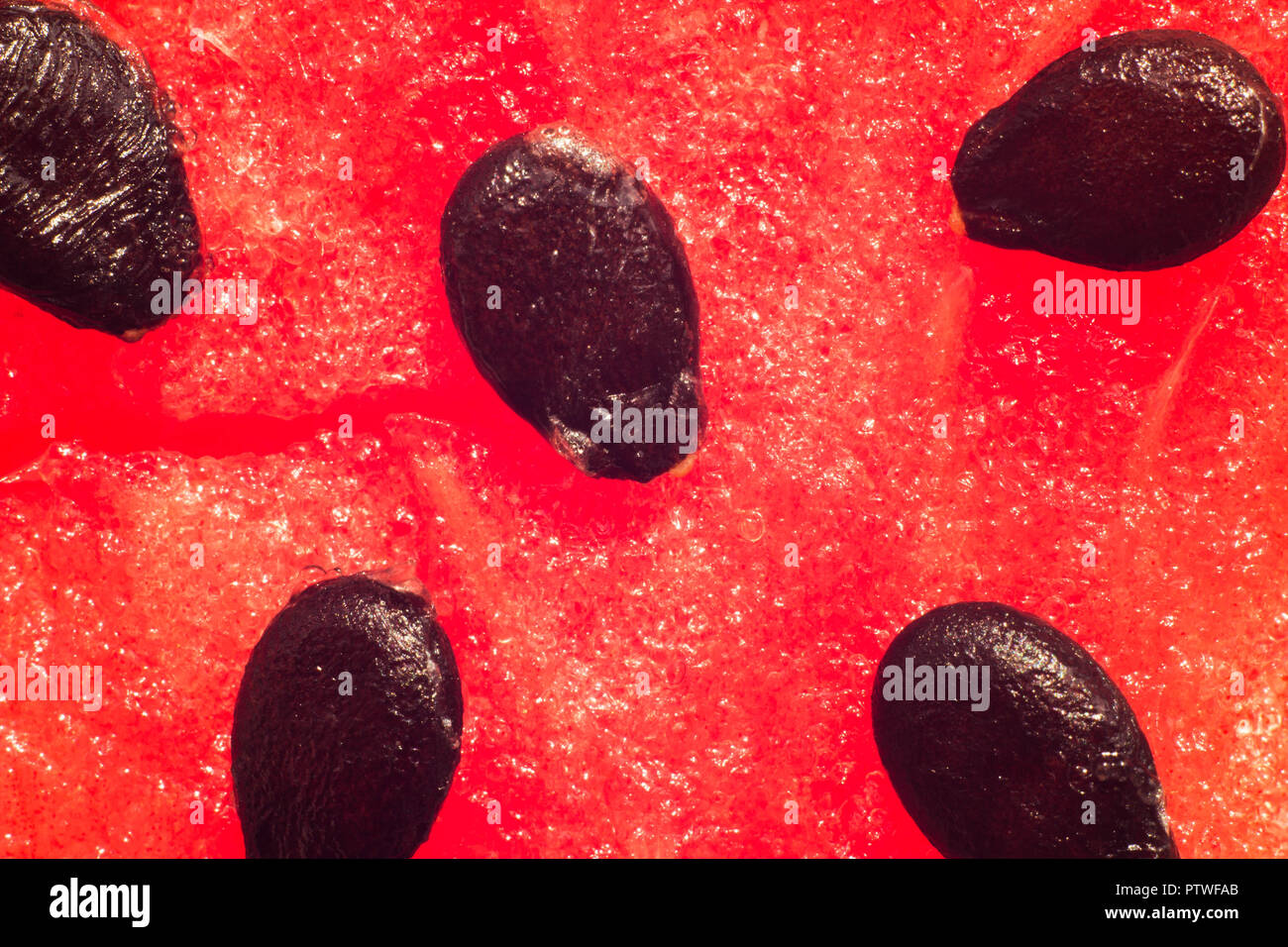 watermelon with stones macro, macro photography, melon Stock Photo - Alamy
