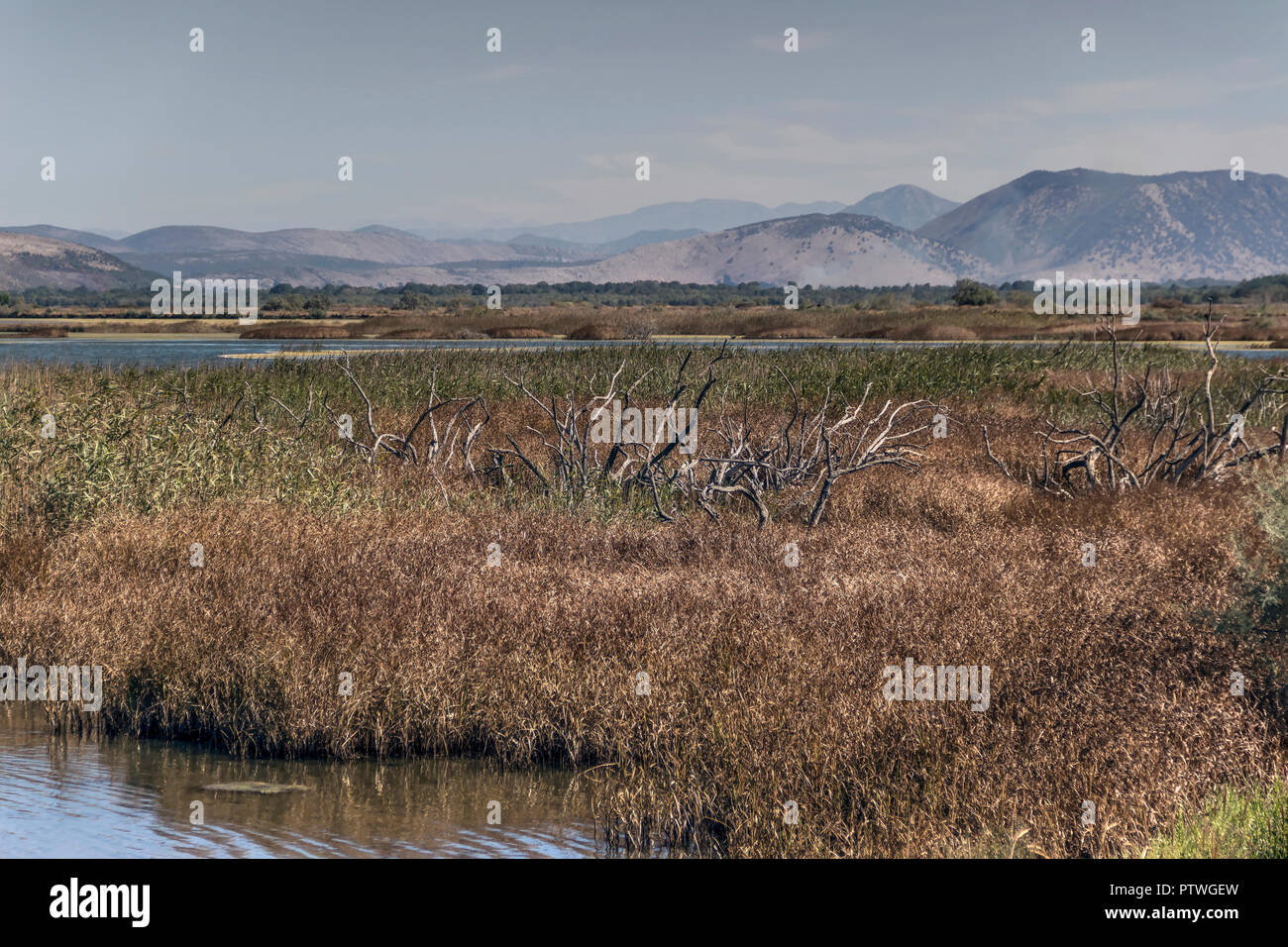 Montenegro - A view at a portion of the Nature Park Solana Ulcinj ...