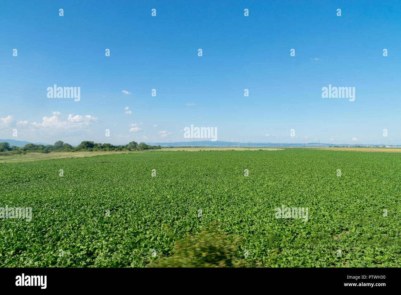 Green field against a blue sky in Romania Stock Photo - Alamy