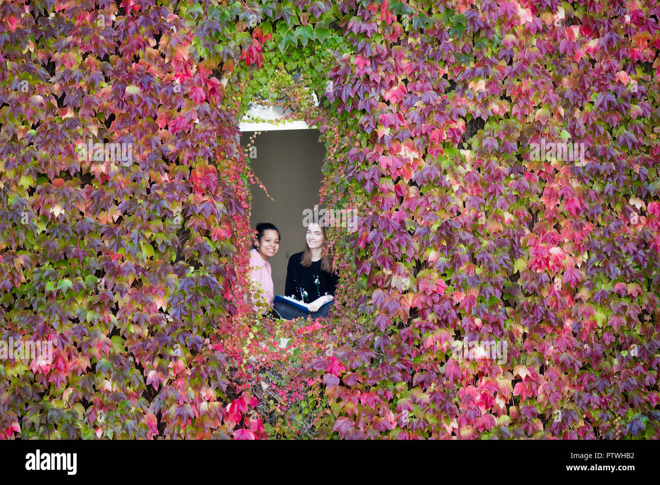 Heath wall hi-res stock photography and images - Alamy