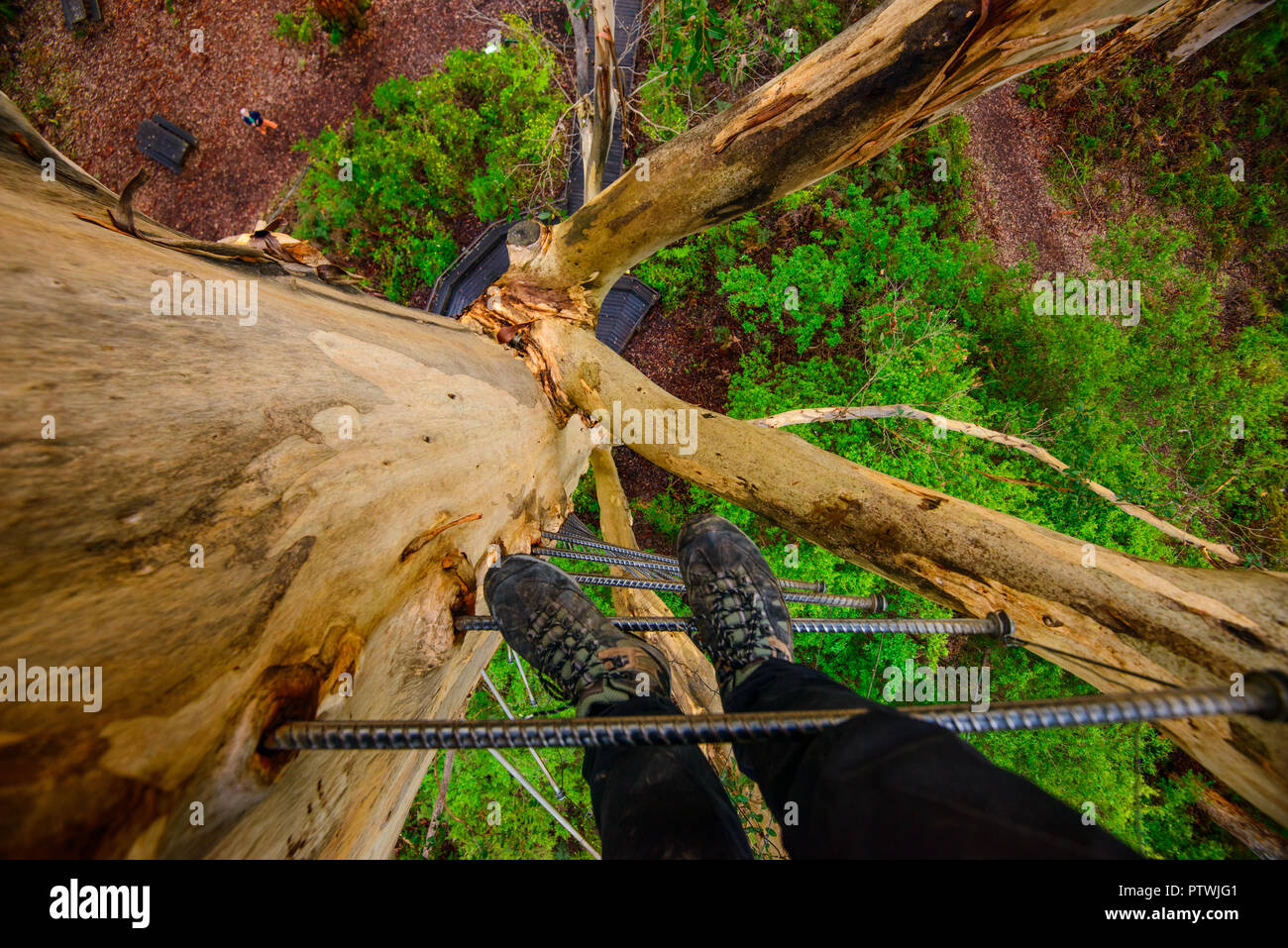 Tall ladder climbing hi-res stock photography and images - Alamy
