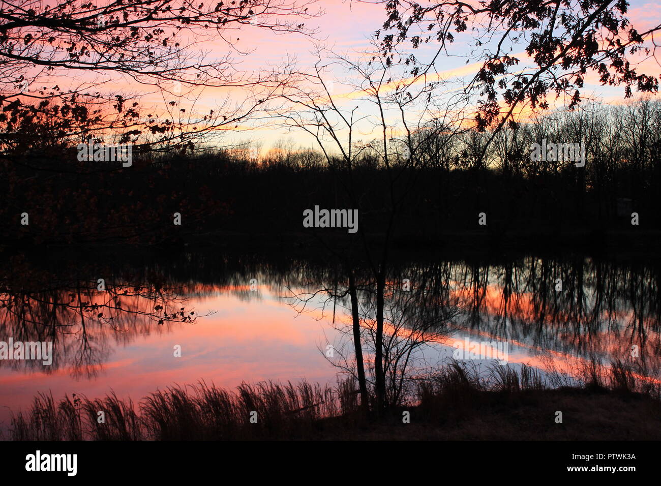 Moon reflection on pond hi-res stock photography and images - Alamy