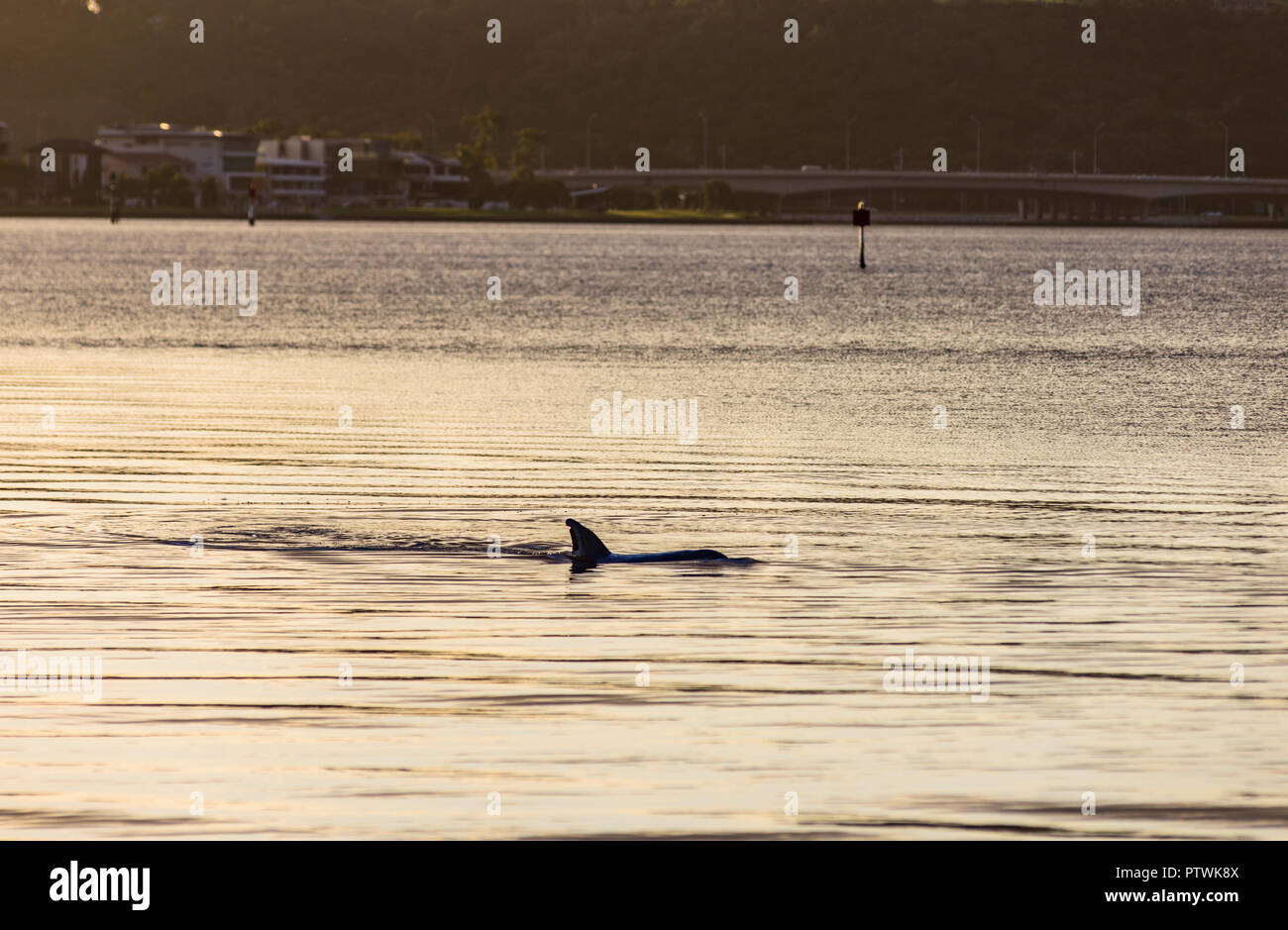 From south perth foreshore hi-res stock photography and images - Alamy