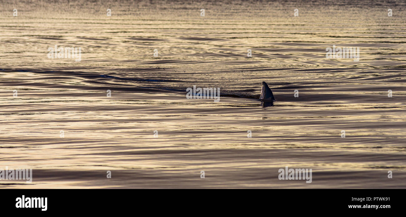 From perth in australia hi-res stock photography and images - Alamy