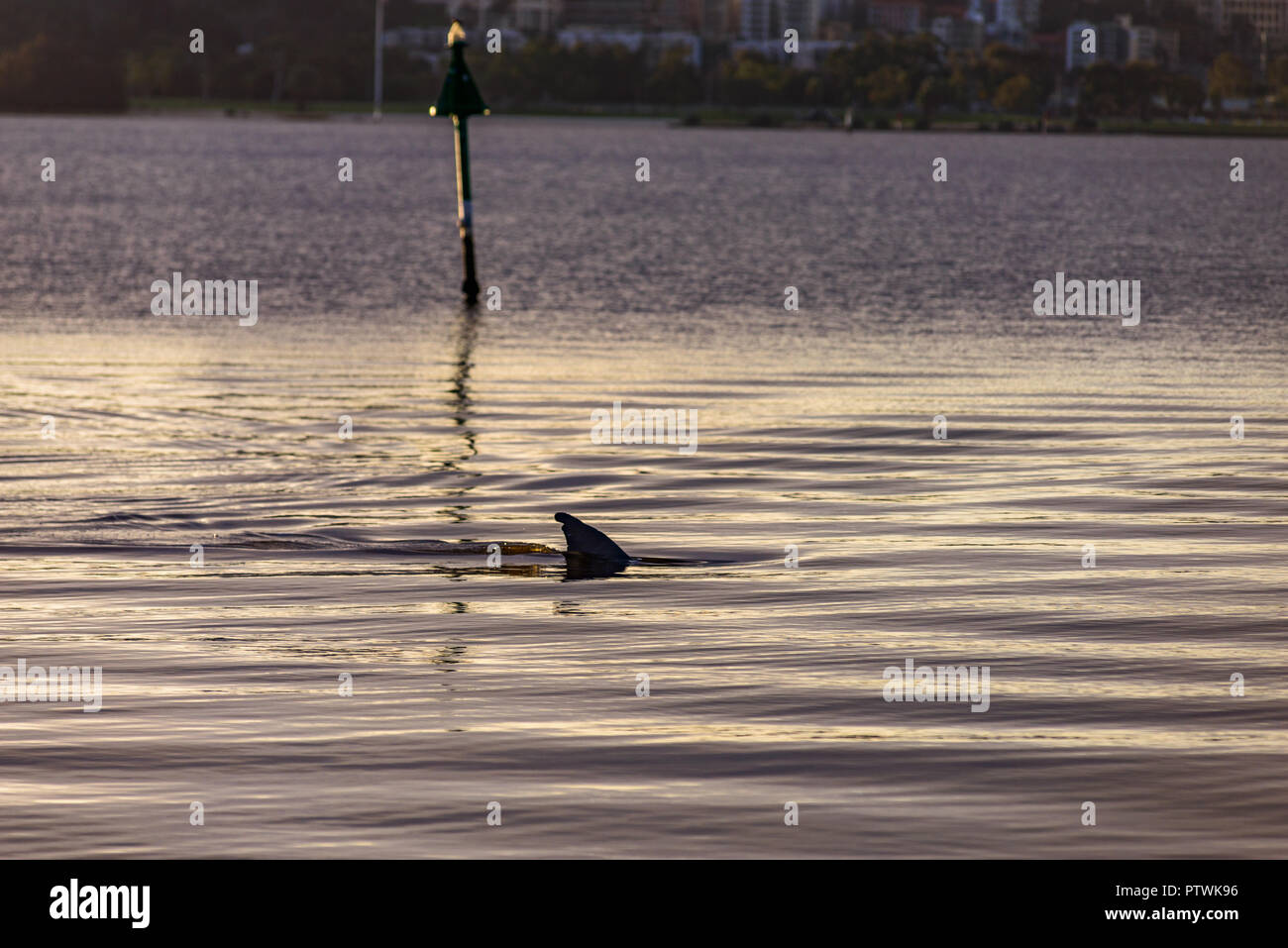 From south perth foreshore hi-res stock photography and images - Alamy