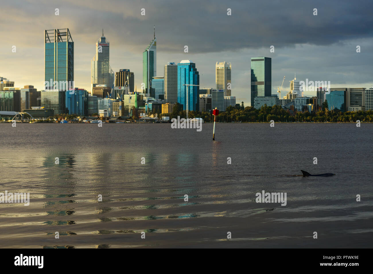From south perth foreshore hi-res stock photography and images - Alamy