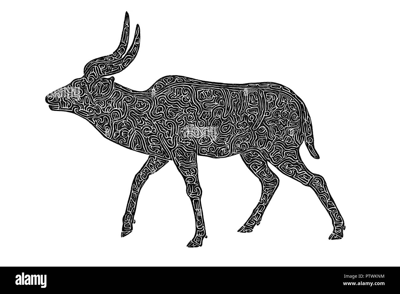 Male Anatomy Black And White High Resolution Stock Photography and ...