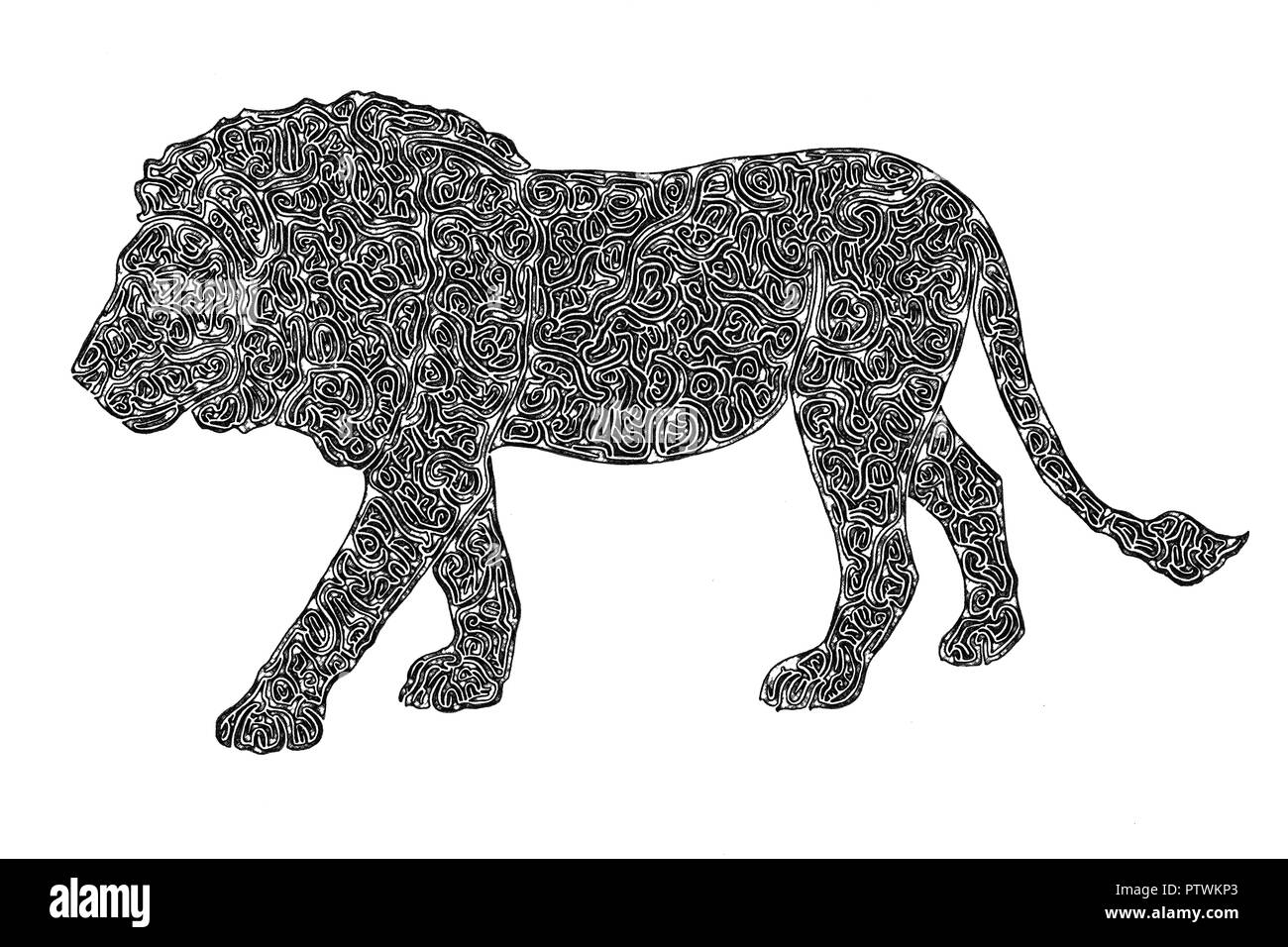 Lion Line Drawing High Resolution Stock Photography and Images - Alamy