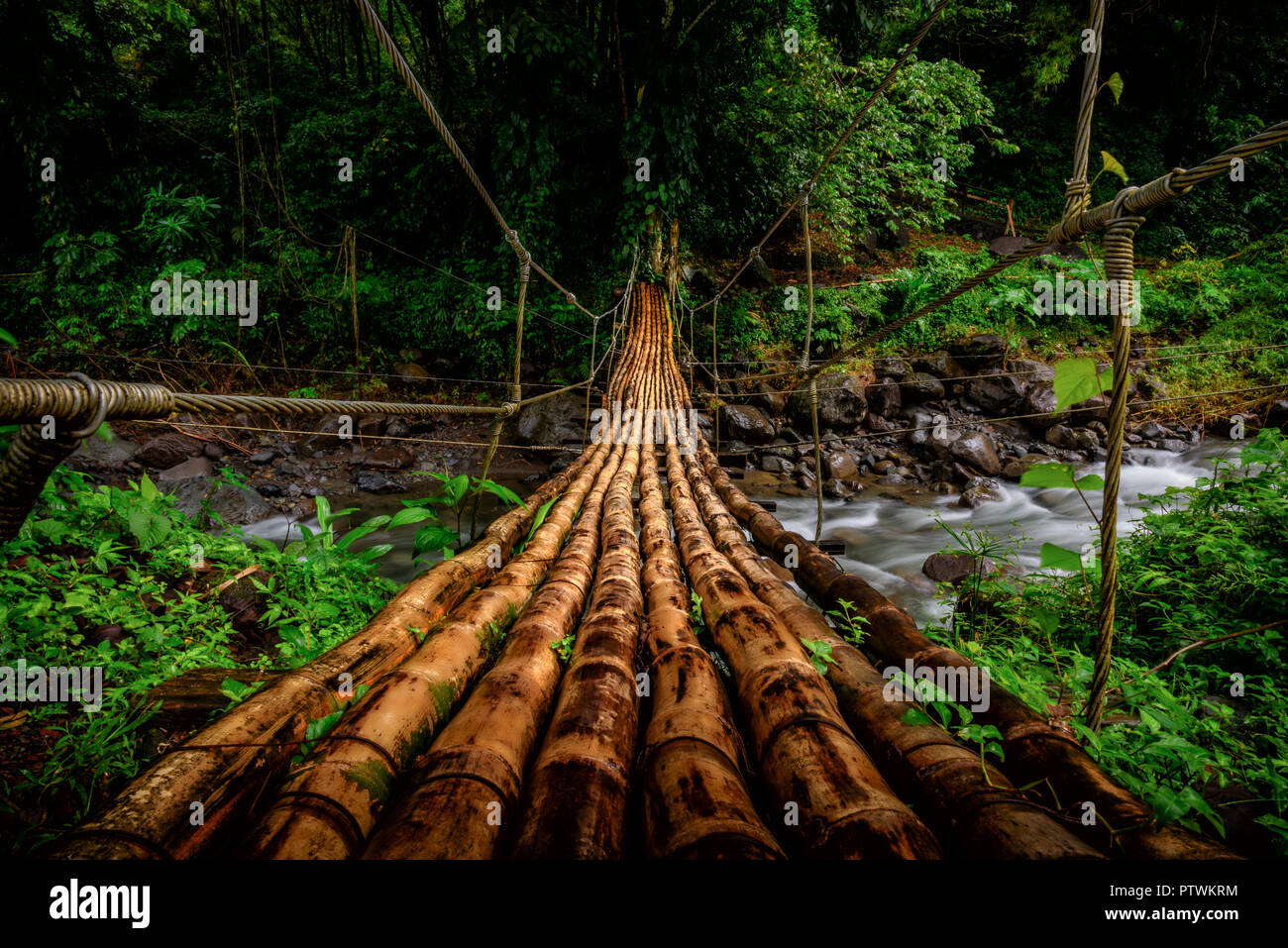 Wooden hanging Bridge in Saint Vincent near Dark view falls, dark ...