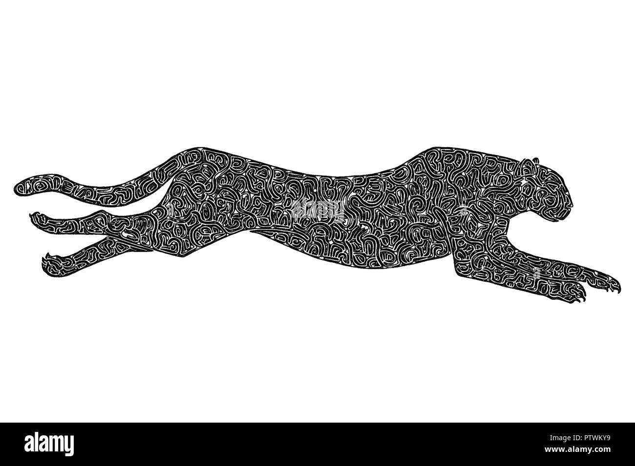 Cheetah Anatomy High Resolution Stock Photography and Images - Alamy