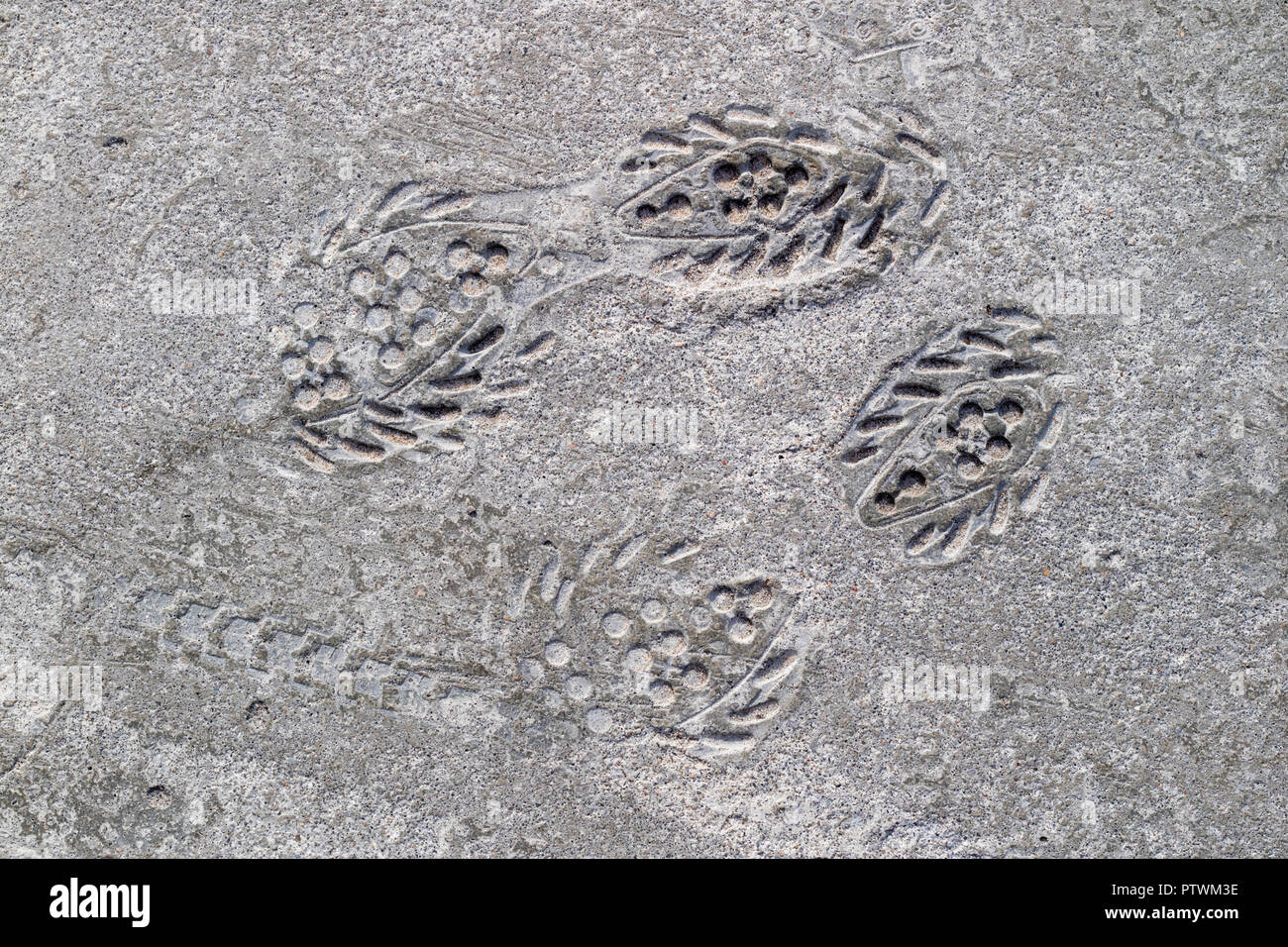 Footprint and mud and pavement hi-res stock photography and images - Alamy