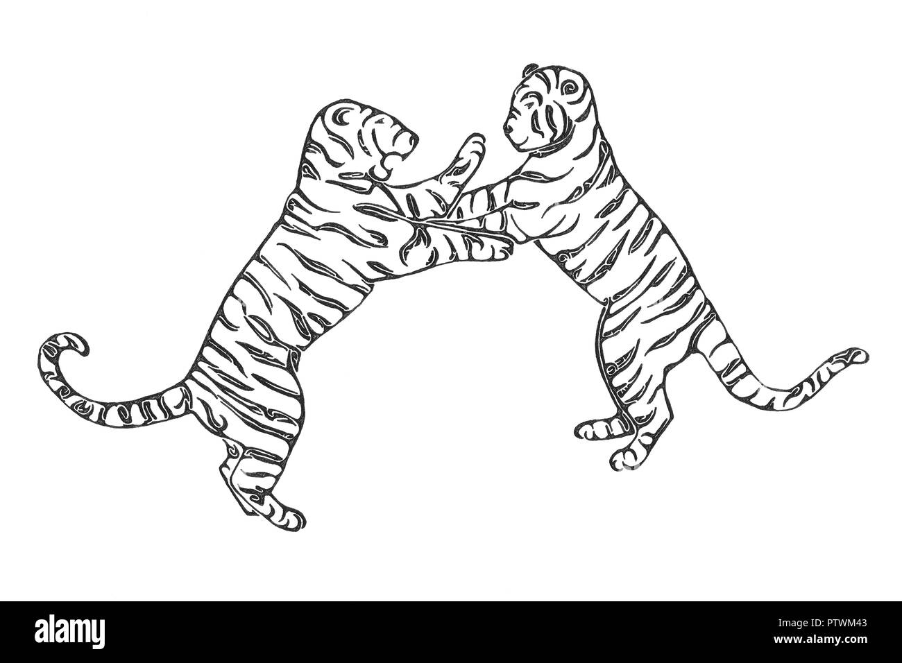 Line Drawing Tiger High Resolution Stock Photography and Images - Alamy