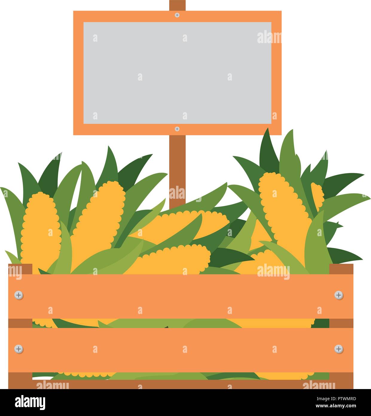 Sweet corn basket Stock Vector Images - Alamy