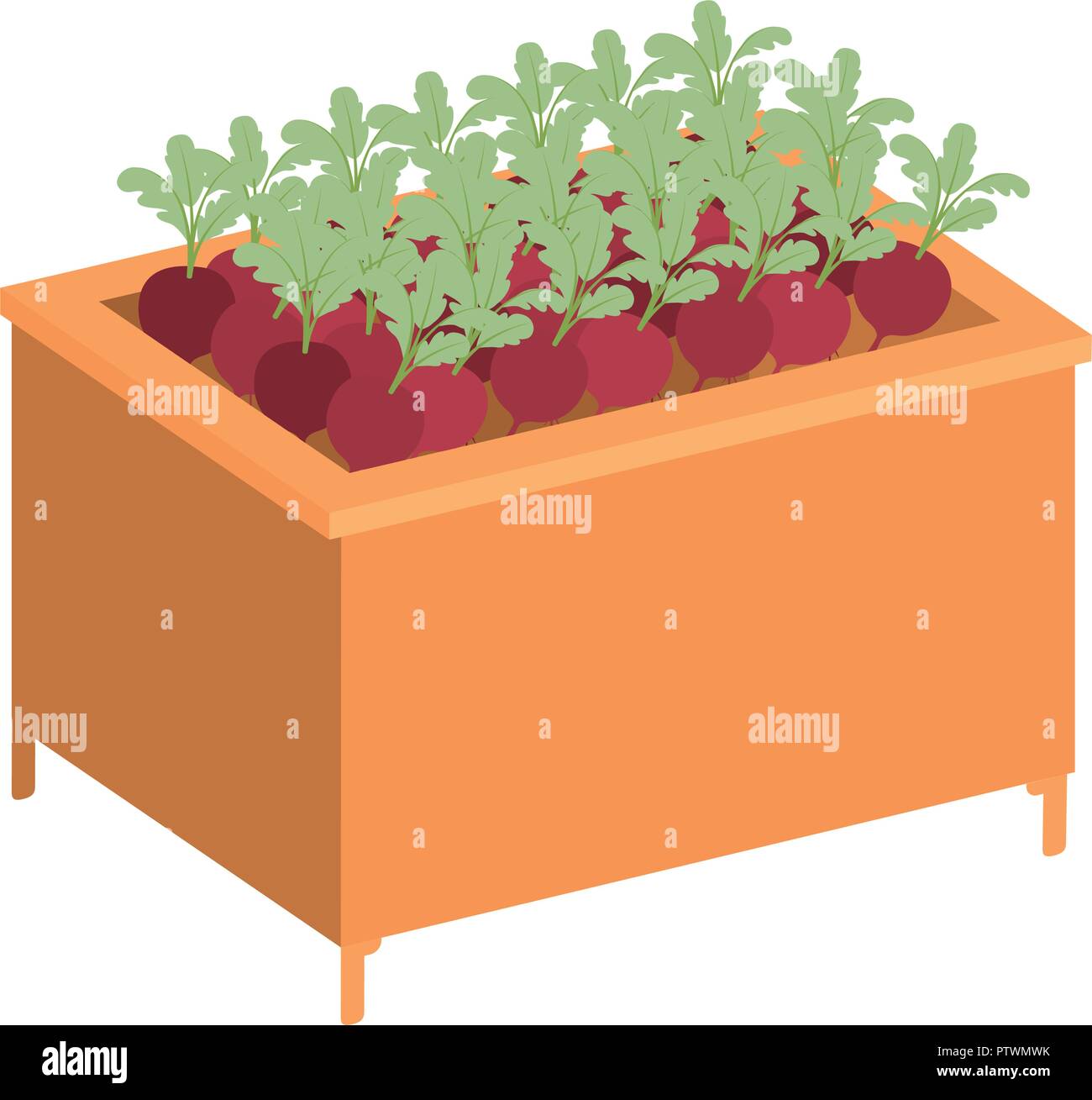 Wooden counter shelf on Stock Vector Images - Alamy