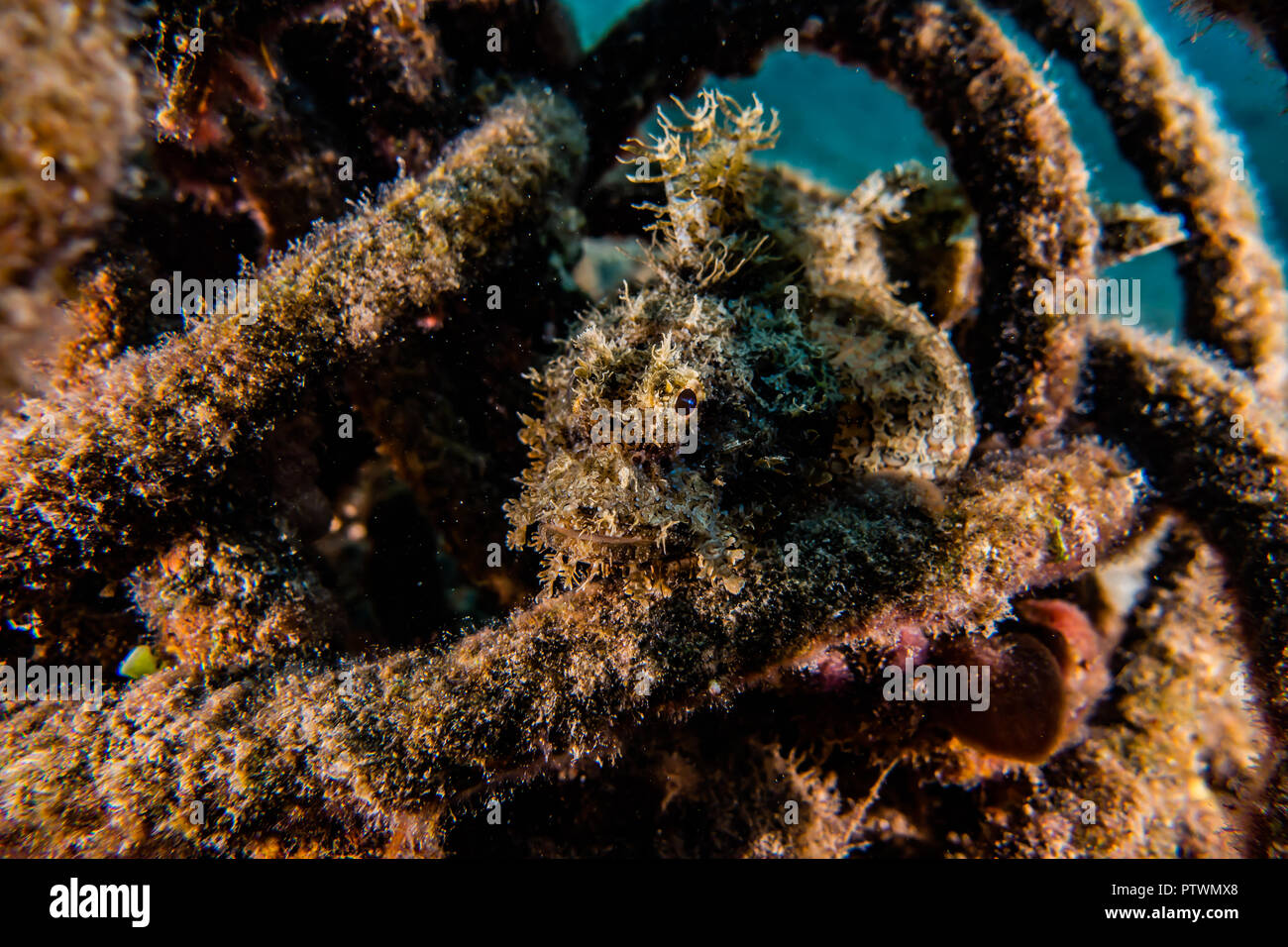 Sea pollution in metals, plastics, aircraft, shipwrecks, cars and other ...