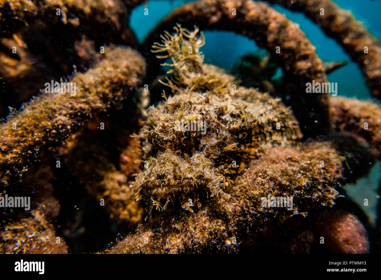 Sea pollution in metals, plastics, aircraft, shipwrecks, cars and other ...