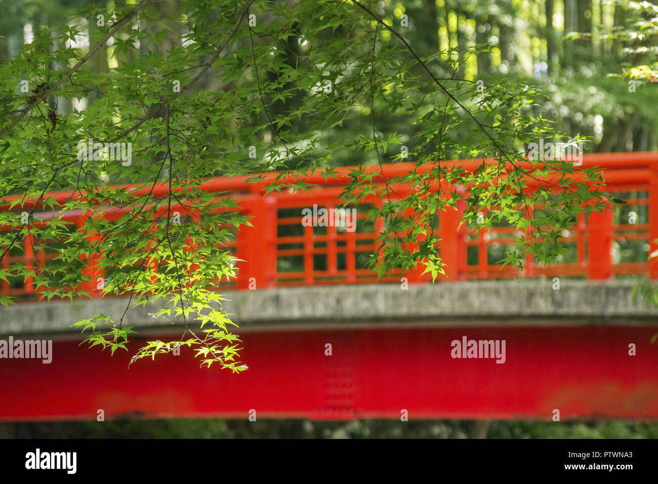 bridge and trees Stock Photo - Alamy