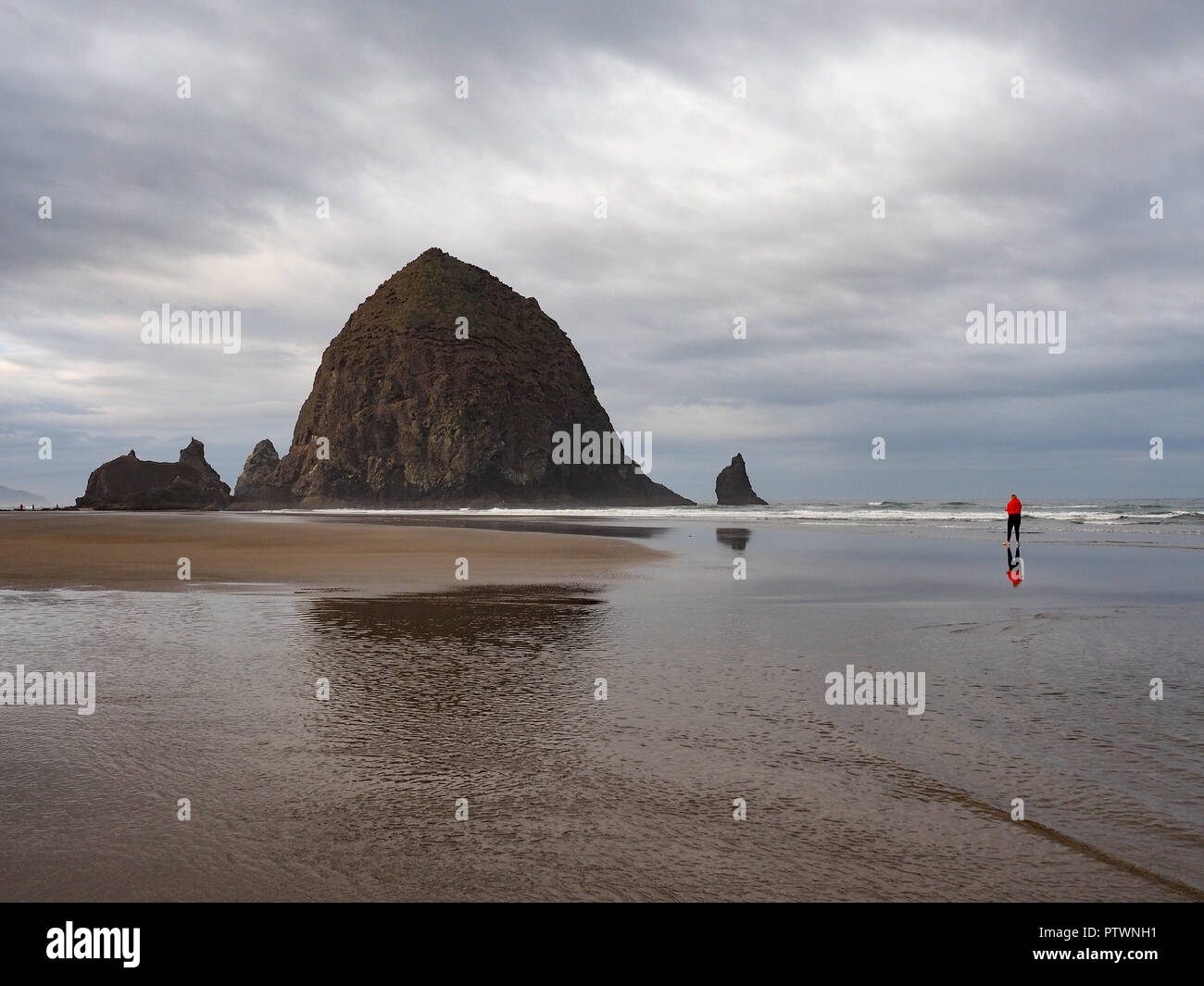 Woman in red windbreaker photographs Haystack Rock and its reflection ...