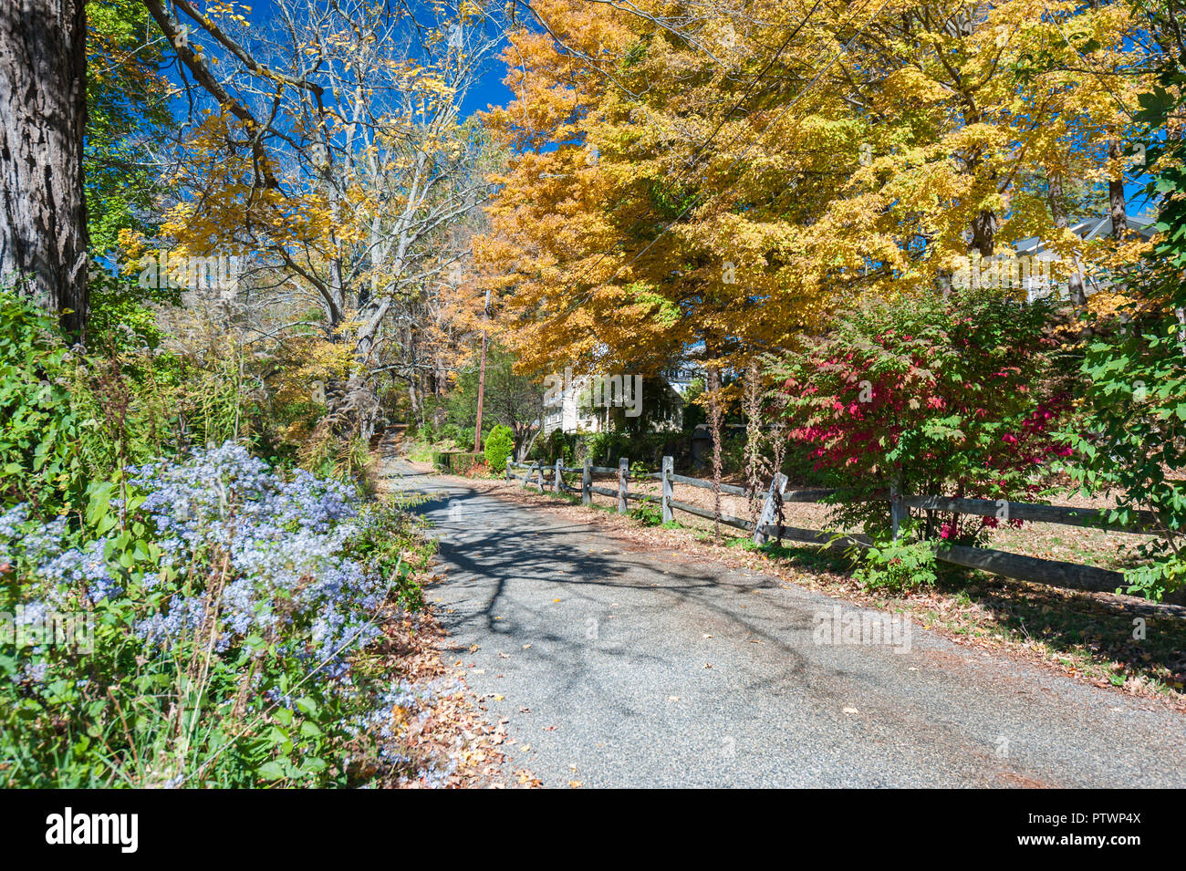 Appalachian fall color hi-res stock photography and images - Alamy