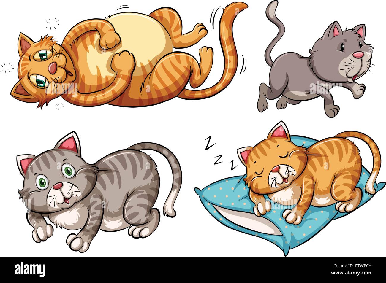 A set of cat character illustration Stock Vector Image & Art - Alamy