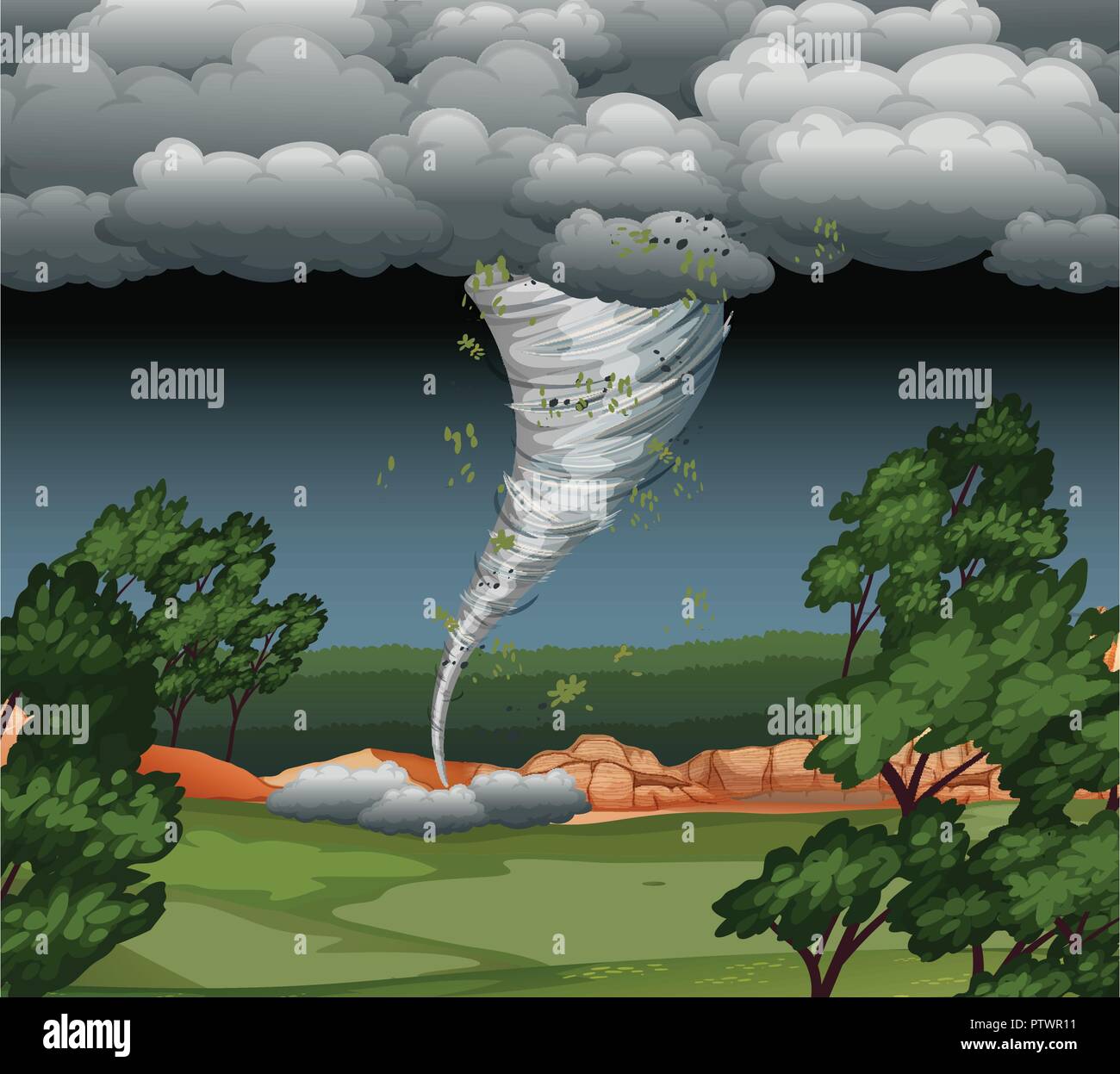 Cloud rain forest Stock Vector Images - Alamy