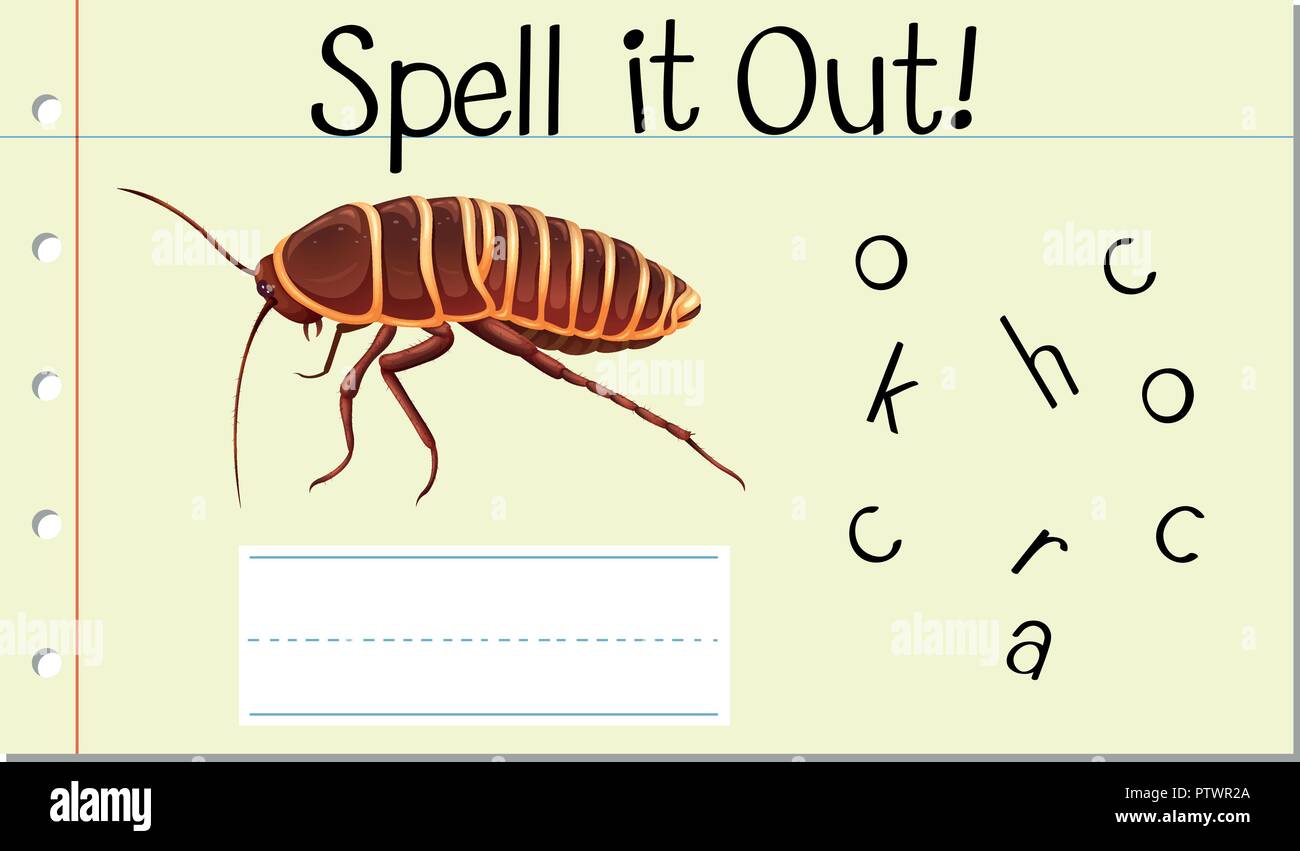Spell English word cockroach illustration Stock Vector Image & Art - Alamy