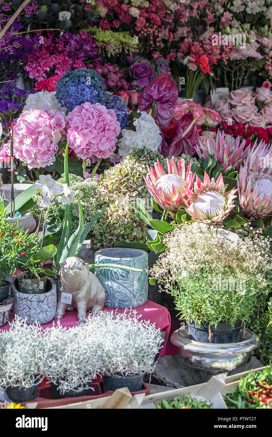 Beautiful array and display of flowers/blummen viewed here in Munich's ...