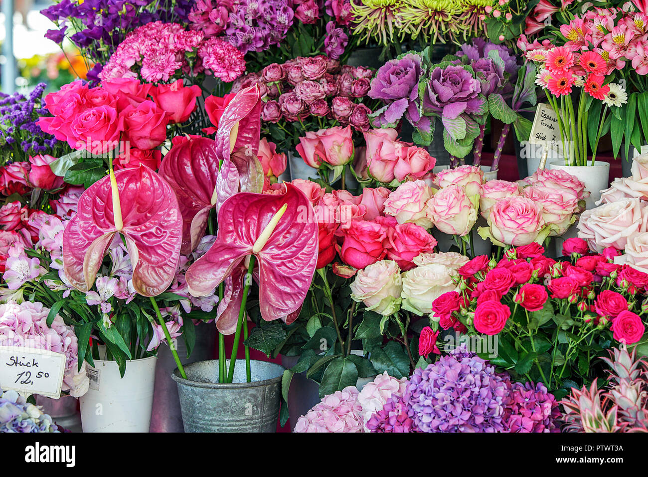 Blummen display hi-res stock photography and images - Alamy